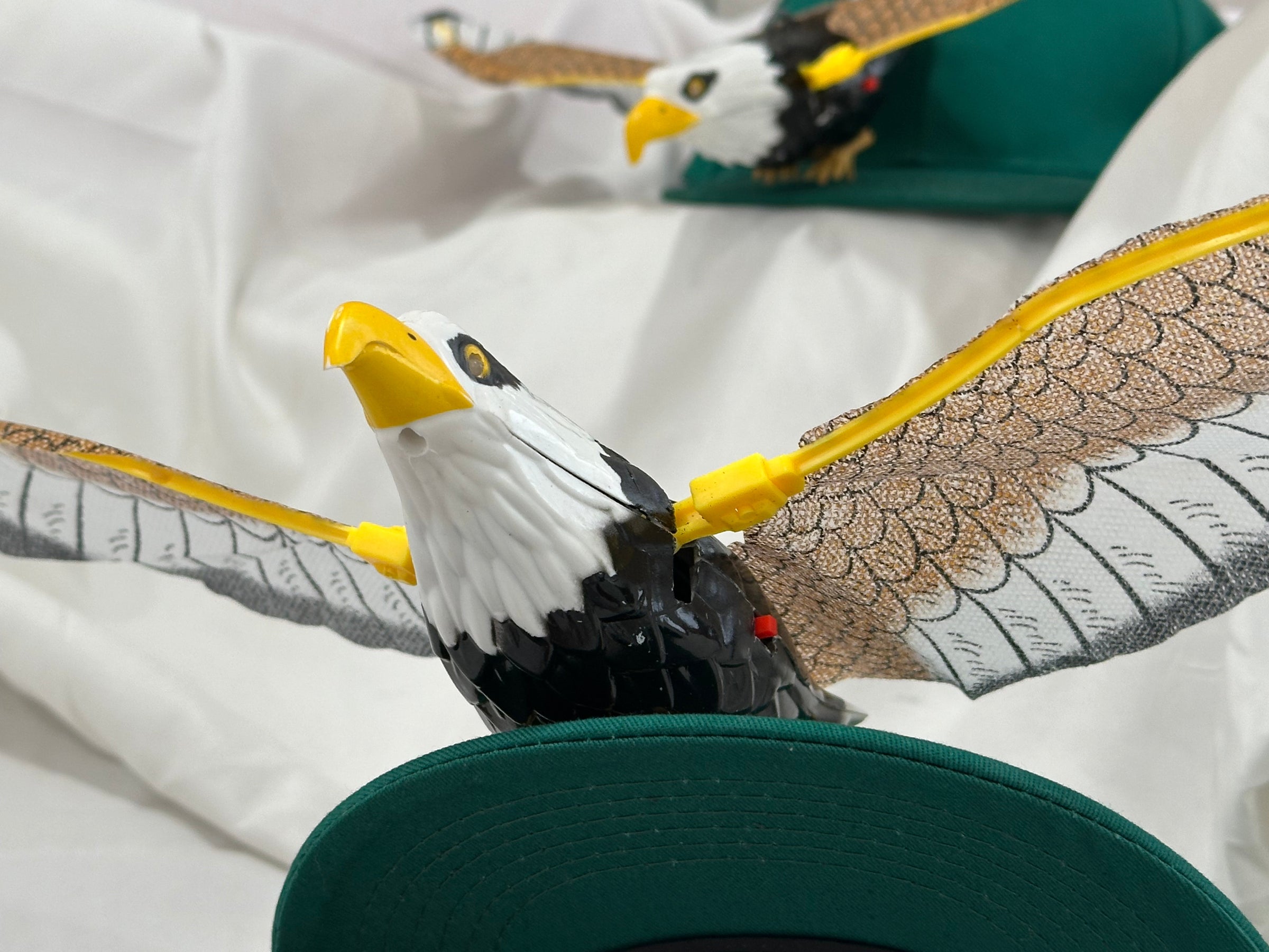anthro eagles hat
